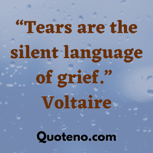 Grief And Tears Quotes For Sad Occasions In Life And Relations